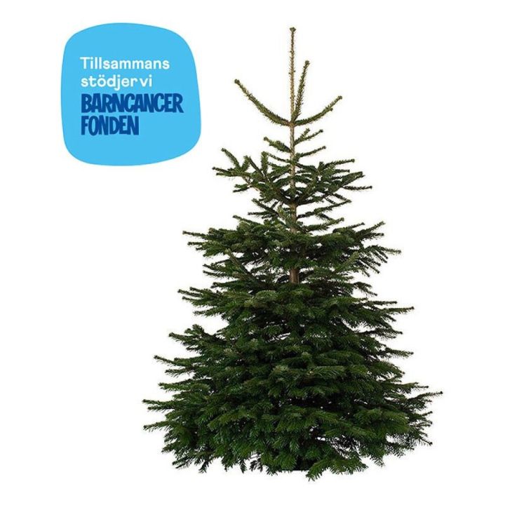 JULGRAN KUNGSGRAN 250-300CM | BAUHAUS