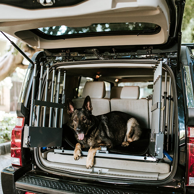 MIMsafe - Säkerhet framför allt